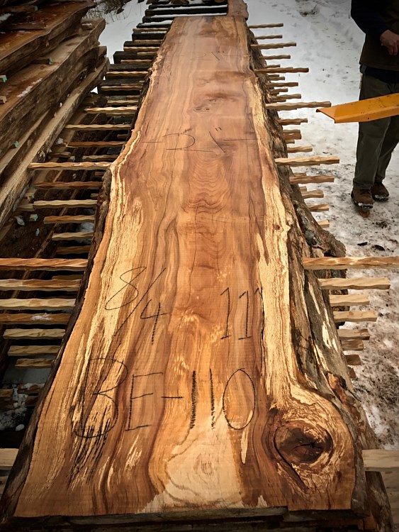 Beech Wood | Legendary PA Hardwoods