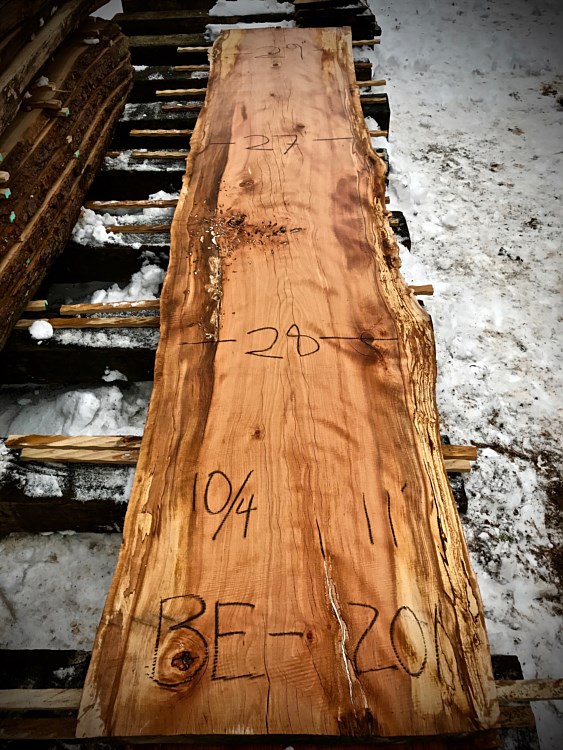 Beech Wood | Legendary PA Hardwoods