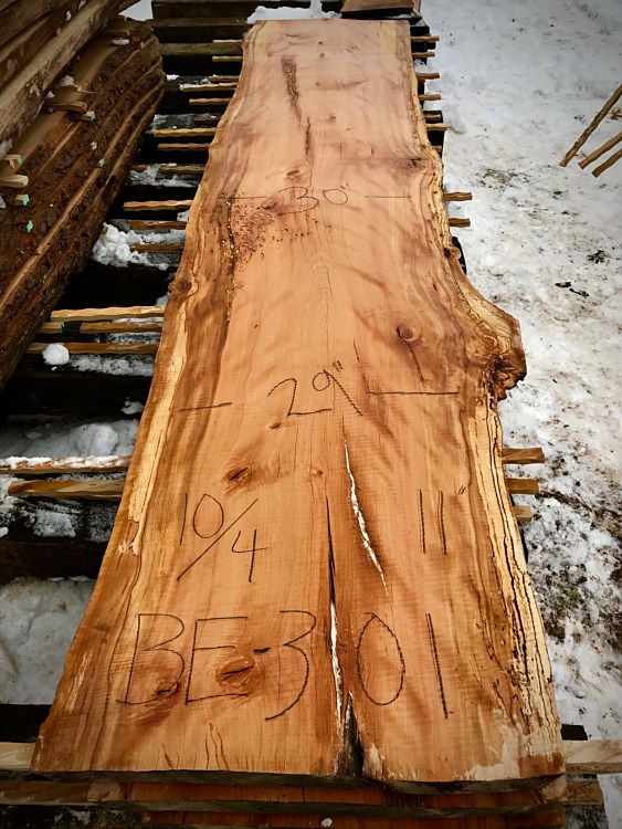 Beech Wood | Legendary PA Hardwoods