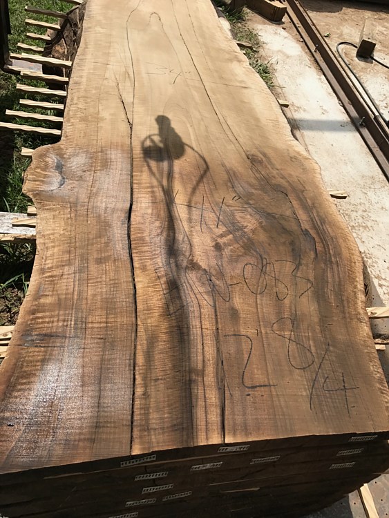 English Walnut | Legendary PA Hardwoods