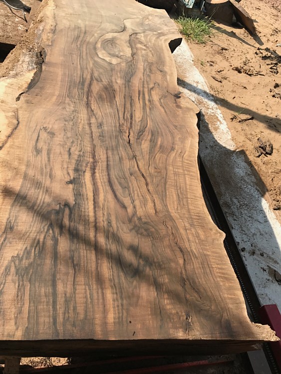English Walnut | Legendary PA Hardwoods