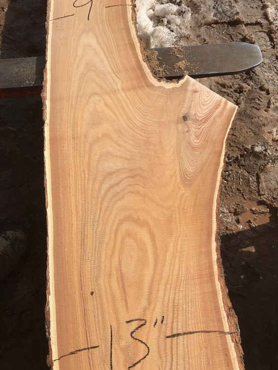 Kentucky Coffee | Legendary PA Hardwoods