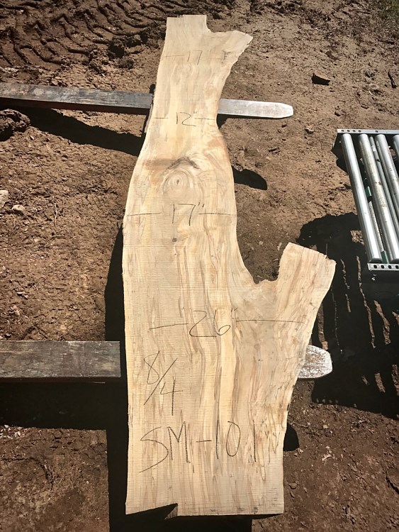Ambrosia Maple | Legendary PA Hardwoods