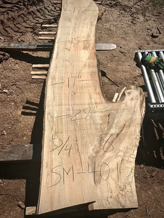 Ambrosia Maple | Legendary PA Hardwoods
