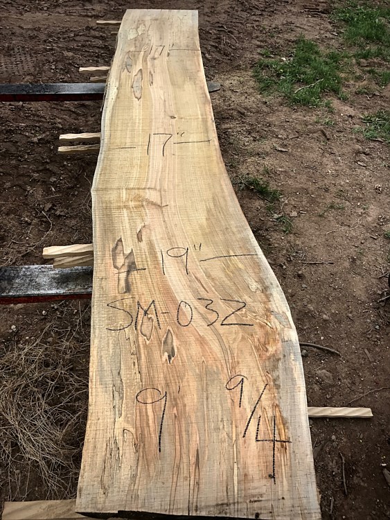 Ambrosia Maple | Legendary PA Hardwoods
