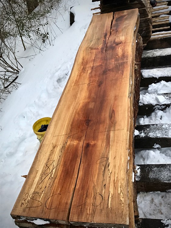 Sycamore | Legendary PA Hardwoods