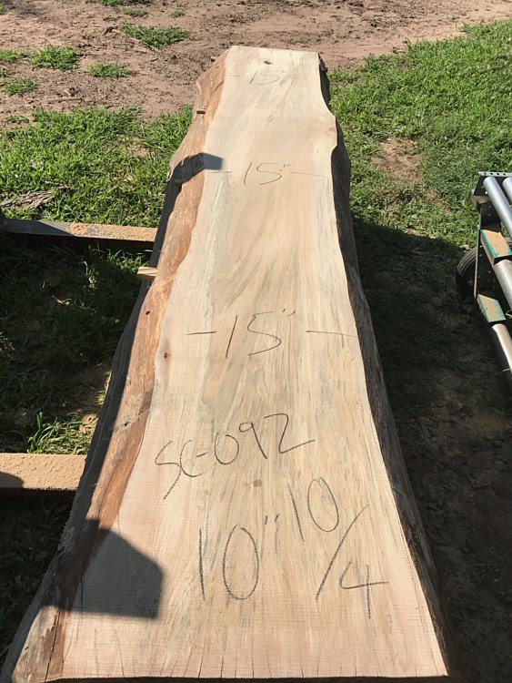 Sycamore | Legendary PA Hardwoods