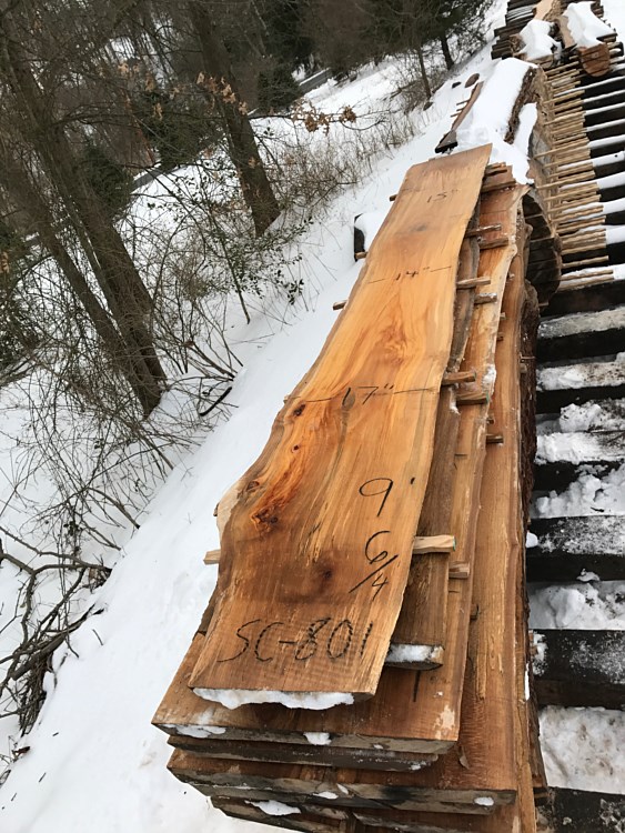 Sycamore | Legendary PA Hardwoods