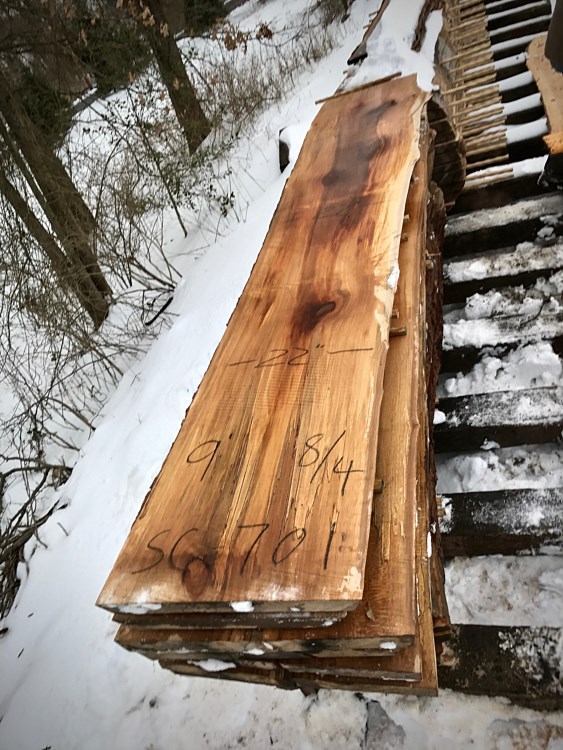 Sycamore | Legendary PA Hardwoods