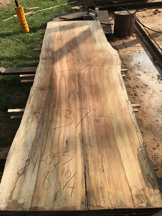 Sycamore | Legendary PA Hardwoods