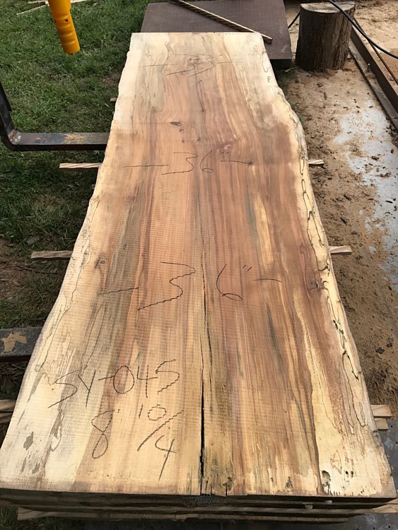 Sycamore | Legendary PA Hardwoods
