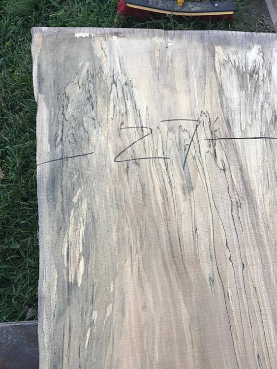 Sycamore | Legendary PA Hardwoods
