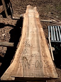 English Walnut | Legendary PA Hardwoods