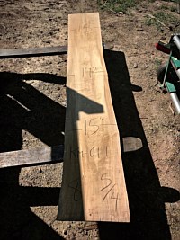 Red Maple | Legendary PA Hardwoods