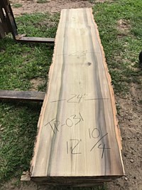 Tulip Poplar | Legendary PA Hardwoods